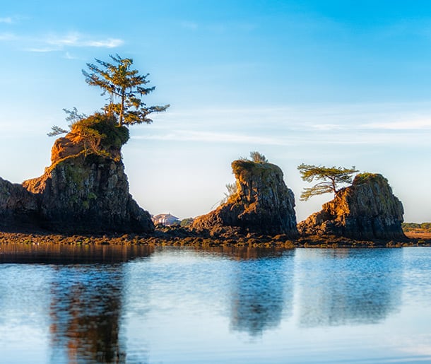 Attractions in Lincoln City, Oregon | Beachfront Manor